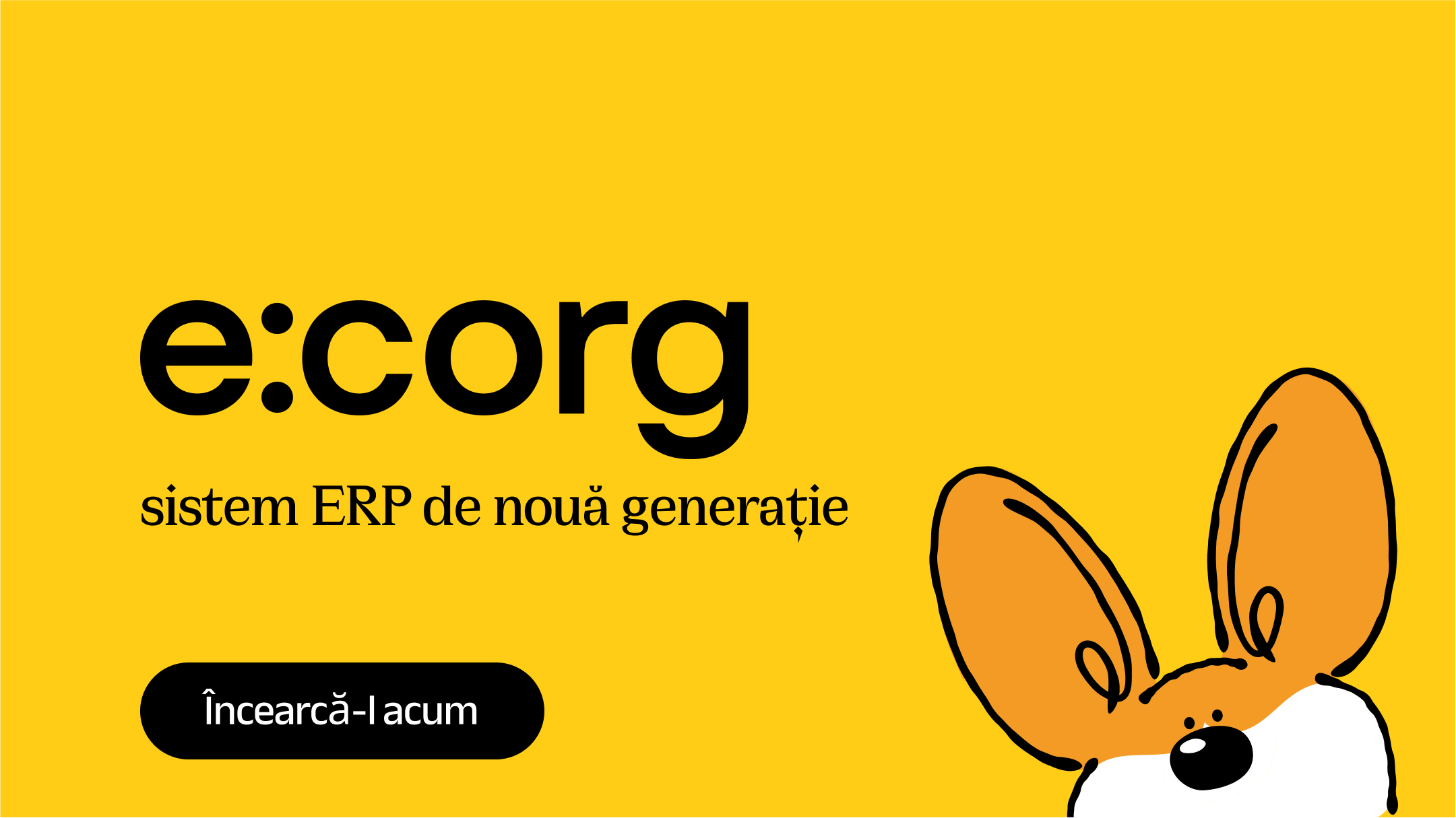 e:corg | Autentificare - Accesați-vă Panoul ERP